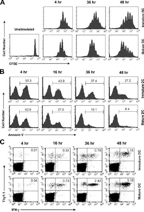 figure 1 from of memory cd8 t cells extent of stimulation controls the formation semantic scholar