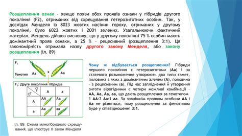 Закономірності спадковості і мінливості