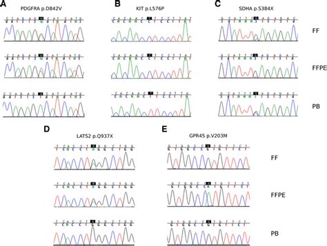 Validation Of Selected Somatic Mutations By Sanger Sequencing On Ff And