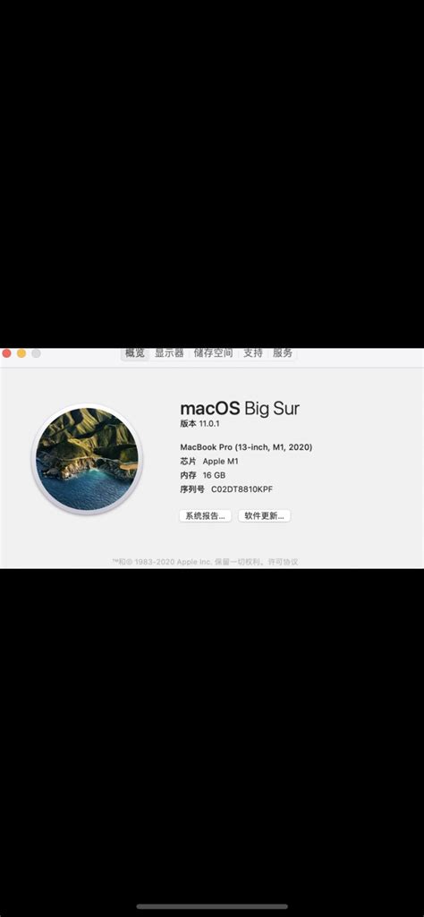 MacBook Pro M1 Unable To Debug NET APP Issue 114241 Microsoft