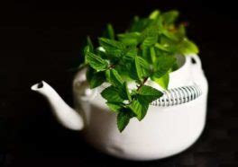 Difference Between Peppermint And Mint IYTmed Com