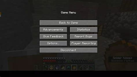 I Found This In My Skeleton Spawner Farm Rminecraft