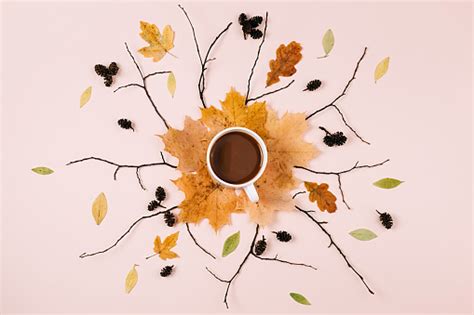 파스텔 베이지 스튜디오 배경에 드라이 나뭇잎과 커피 컵 콘이 있는 가을 플랫 레이는 광고용 복사 공간이 있습니다 추수 감사절 가을 할로윈 개념 크리에이티브 컴포지션 0명에