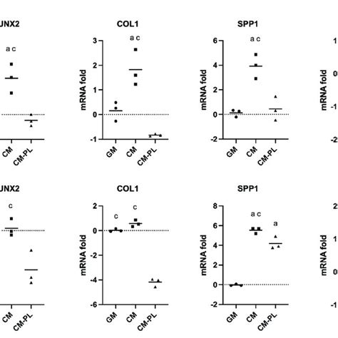 Osteogenic Gene Expression Relative MRNA Fold Changes In BMSC After 2