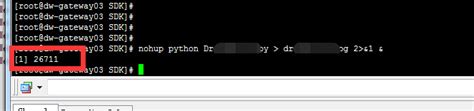 Nohup后台运行python调度脚本（最终发布）nohup 实时更新 Python Csdn博客