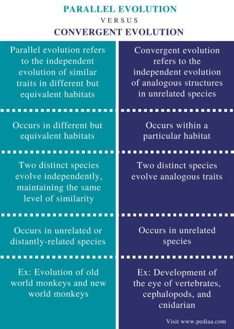 Parallel Evolution Examples Parallel Evolution An Overview