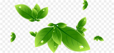 Free Vector Graphics Euclidean Vector Portable Network Graphics