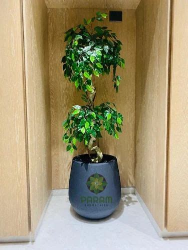 Multicolor Frp Fiberglass Planters Bowl Shape At Rs Piece In Surat ID