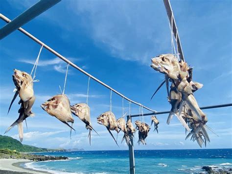 爽玩蘭嶼、綠島！抓飛魚、玩浮潛一次體驗，雙島四日遊兩人成行！