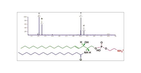 Lipidomic Analysis Of Toxoplasma Gondii Reveals Unusual Polar Lipids Biochemistry