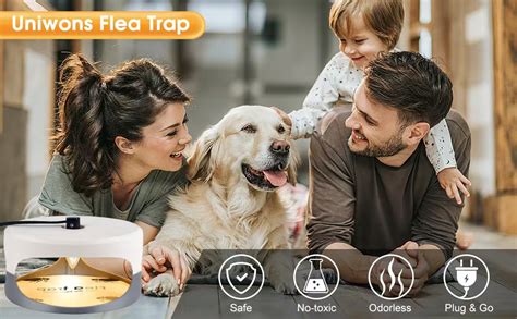 Flea Trap 2 Packs Premium Flea Traps For Inside Your
