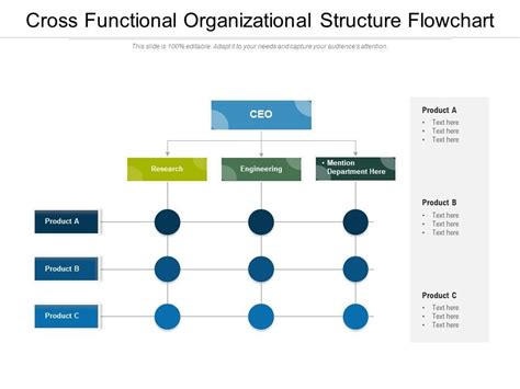 Cross Functional Organizational Structure Powerpoint Presentation And