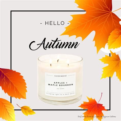Calyan Wax Soy Wax Candle Apples Maple Bourbon 3 Wick Scented