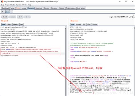 Sqllib 第20关之cookie注入sqllibs第20 Csdn博客