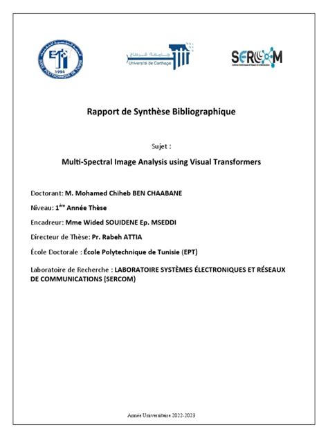 Rapport De Synthèse Bibliographique Pdf
