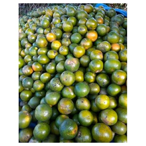 Jual Jeruk Semboro 1 Kg Asli Manis Buah Jeruk Manis Shopee Indonesia
