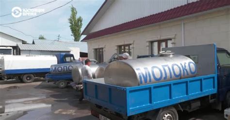 Россия запретила ввоз молочной продукции из Кыргызстана Как реагируют в Бишкеке