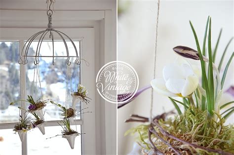 So bastelst du aus Eierkartons eine zauberhafte FENSTERDEKO für den Frühling DIY und Deko Blog