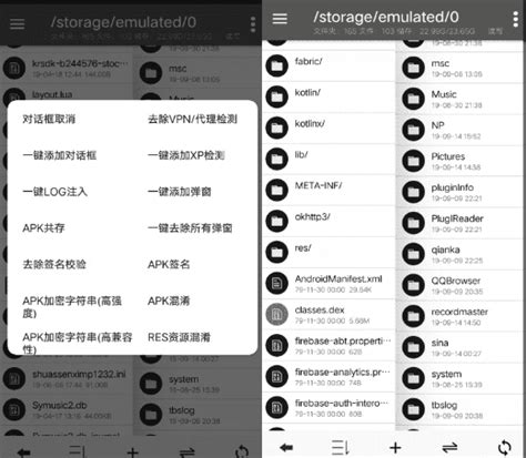 Np管理器v3025 一键添加去除apk对话框等 火次元