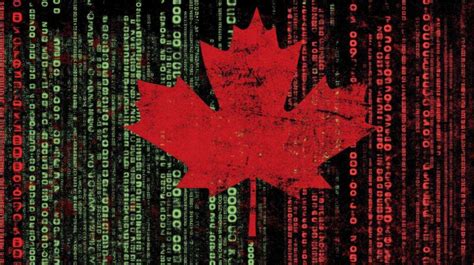 Radware On Linkedin Cybersecurity Ddos Threatalert