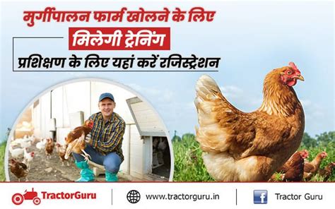 मुर्गी पालन व्यवसाय कम लागत में ज्यादा कमाई मुर्गी पालन बिजनेस की