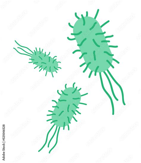 Poster Escherichia Coli E Coli Bacteria Flat Icon Muurposter