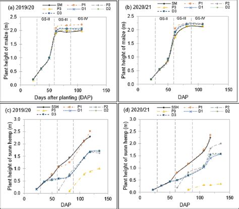 Maize And Sunn Hemp Plant Height In Sole Cropping And Intercropping