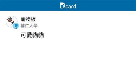 可愛貓貓 寵物板 Dcard