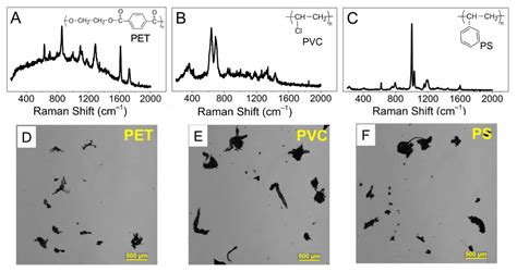 Promotion Of Dna Adsorption Onto Microplastics By Transition Metal Ions