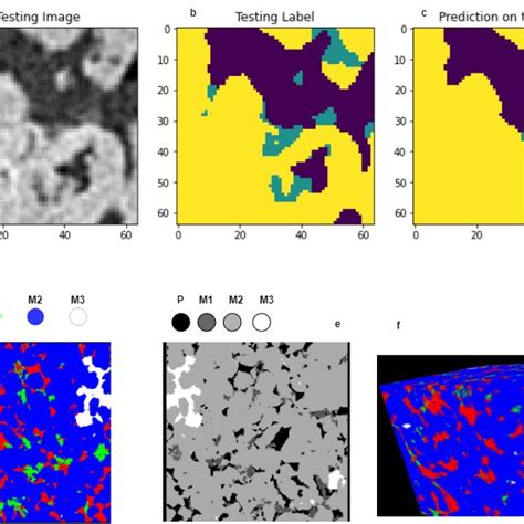 Represents Prediction Segmented Sample Both In 2D And 3D A Test