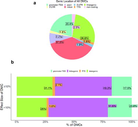 Genic Location Of Dmcs A Proportion Of Dmcs Localized To Each Genic