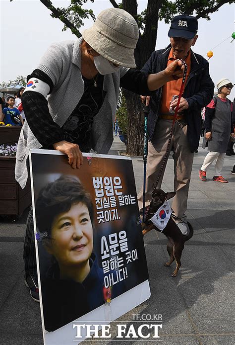[tf포토] 태극기 성조기 단 강아지 포토 기사 더팩트