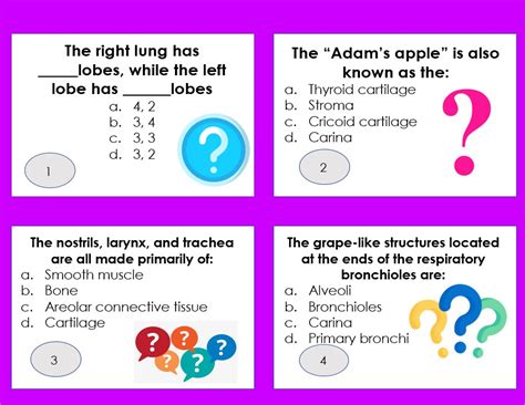 All About The Respiratory System Task Cards Anatomy And Physiology Made By Teachers