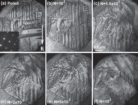 Evolution Of Ferroelectric Domains During Bipolar Electric Cycling In