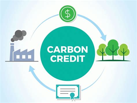 Understanding Carbon Credits Ii The Zimbabwe Independent