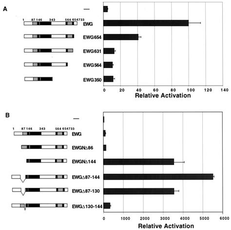 Evolutionarily Conserved Sequences In Both The N And C Terminal Regions Download Scientific
