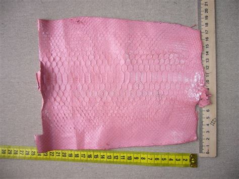 Exotic Haberdashery Leather Python Skin Snake Skin Pink Leather For Exotic Haberdashery Leather Python Skin Snake Skin Pink Leather For