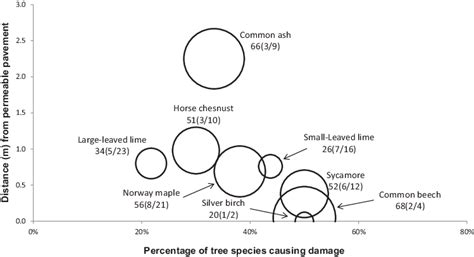relationships of tree diameters at breast height dbh cm represented