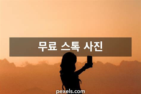 2000개의 최고의 고양이와 셀카 사진 · 100 무료 다운로드 · Pexels 스톡 사진