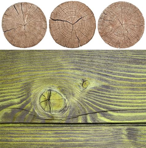 Wood Texture Background Stock Photo Image Of Material 120210496