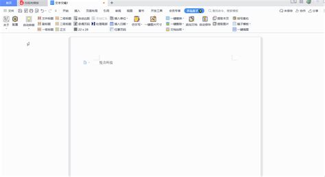 Windows 不坑盒子 Word 枫音应用