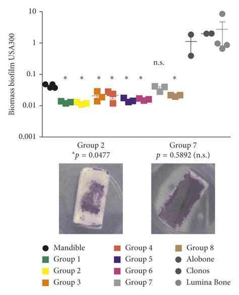 Biomass Quantification Of Staphylococcus Aureus Usa300 Biofilm Formed