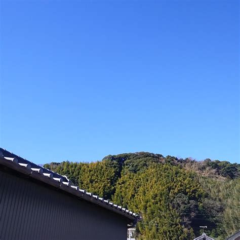 2月10日金曜日 天気は良いね 花金ですか。 103林道バーグ