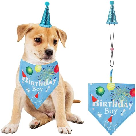 Conjunto De Sombrero De Pañuelo De Cumpleaños Para Perro Suministros