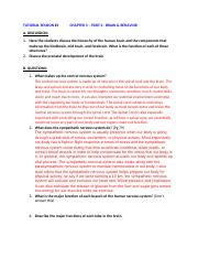Understanding Brain Behavior Functions Structures Course Hero
