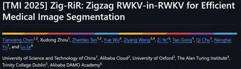 TMI 2025 最新医疗图像分割模型Zig RiR精准分割二维三维医疗图像 CSDN博客
