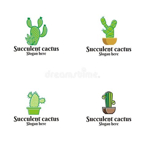 Logotipo Suculento Del Vector Del Cactus Ilustración Del Vector