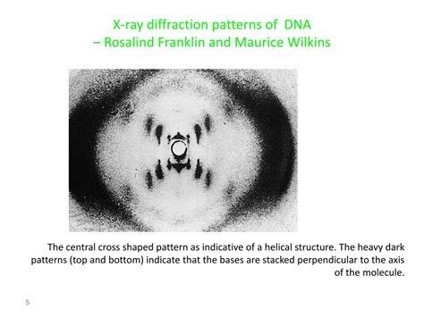 X Ray Diffraction Pattern Dna