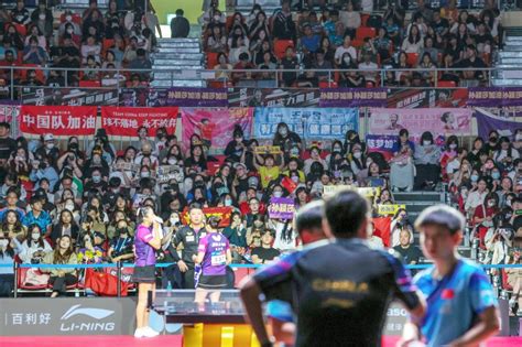 평창 아시아탁구선수권 총 관중 9531명 입장sns 노출 1억회 파이낸셜뉴스