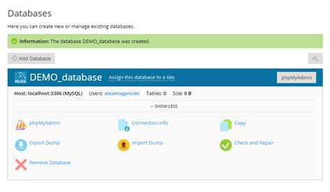 How To Manage Databases Within The Plesk Webhosting Panel